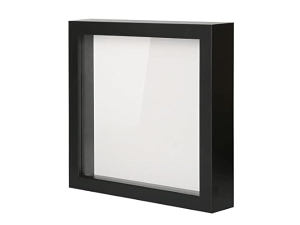 The 10 Best Glass Shadow Boxes of 2024 (Reviews) - FindThisBest