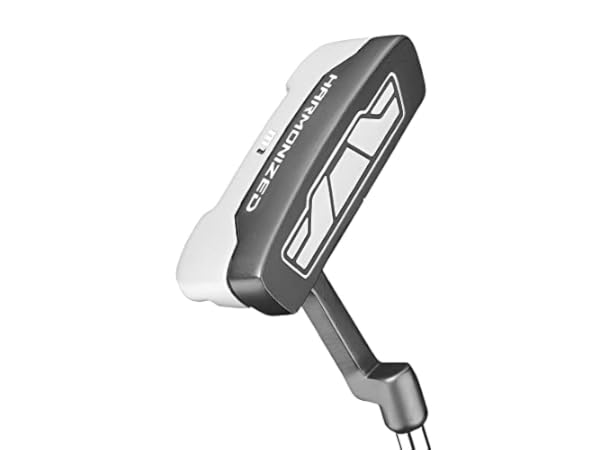 The 10 Best Golf Putters for Women of 2024 (Reviews) - FindThisBest