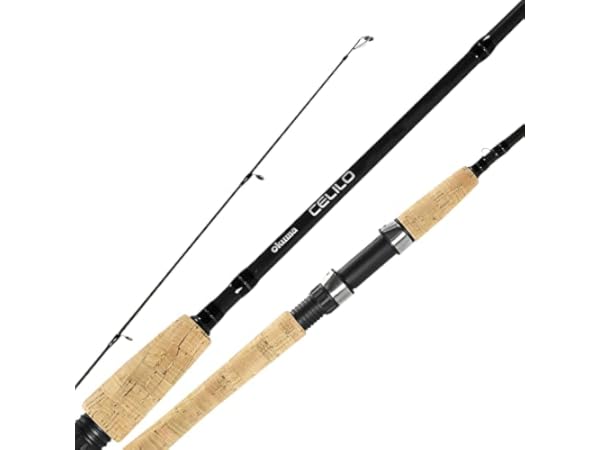 The 10 Best Graphite Fishing Rods of 2025 (Reviews) - FindThisBest