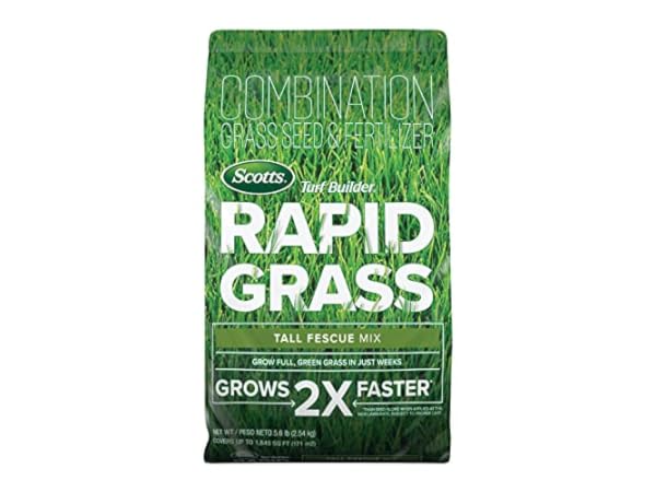 The 10 Best Grass Seed and Fertilizer Mixes of 2024 (Reviews ...