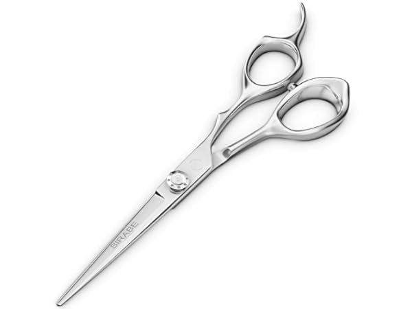 The 10 Best Hair Cutting Shear & Razor Cases of 2024 (Reviews ...