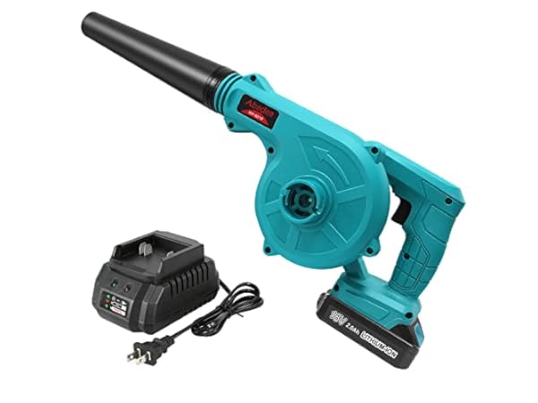 The 10 Best Handheld Leaf Blowers of 2024 (Reviews) - FindThisBest