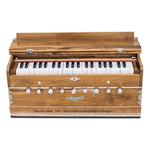 The 8 Best Harmoniums of 2023 (Reviews) - FindThisBest