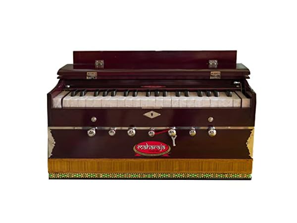 The 10 Best Harmoniums of 2024 (Reviews) - FindThisBest