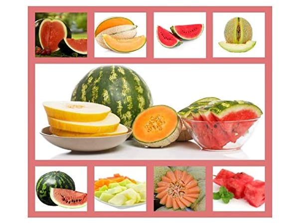 The 10 Best Hybrid Fruit Seeds of 2024 (Reviews) - FindThisBest