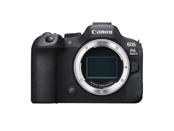 The 3 Best Image Stabilization Mirrorless Cameras of 2026 (Reviews ...