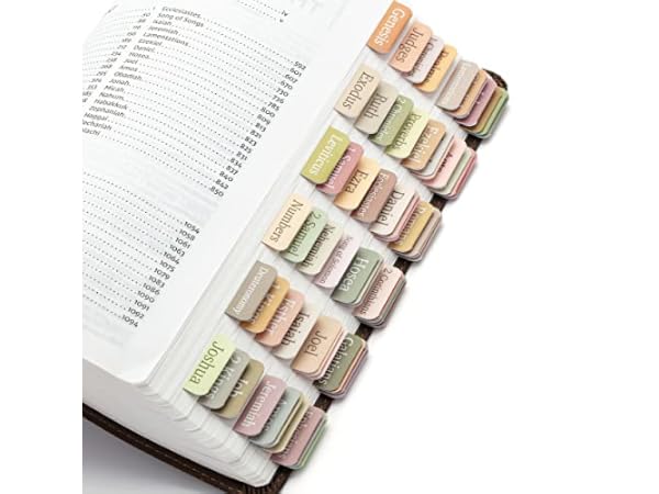 The 10 Best Index Tabs of 2026 (Reviews) - FindThisBest