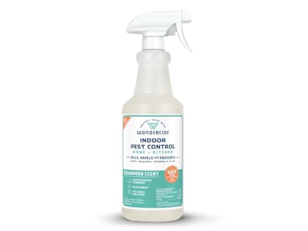 The 10 Best Indoor Bug Sprays of 2024 (Reviews) - FindThisBest