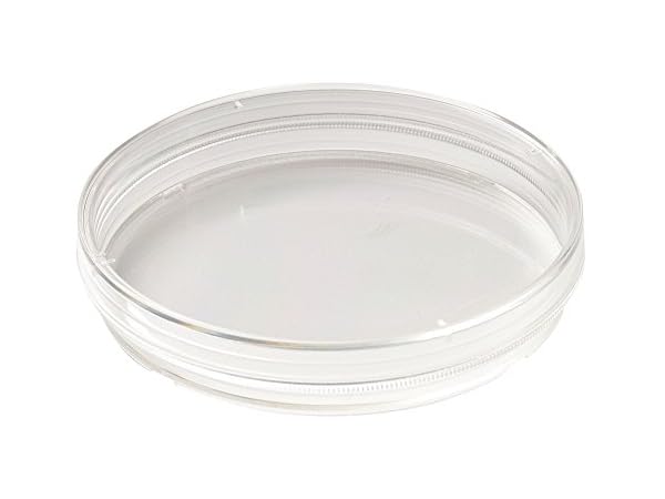 The 10 Best Lab Cell Culture Dishes of 2024 (Reviews) - FindThisBest