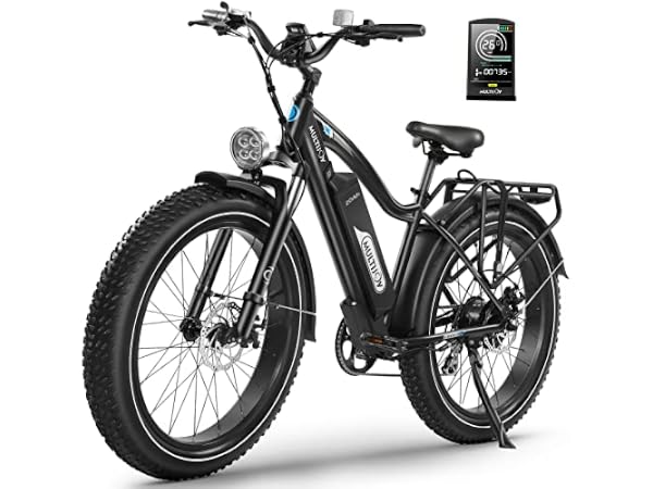 The 10 Best Large Electric Bikes of 2024 (Reviews) - FindThisBest
