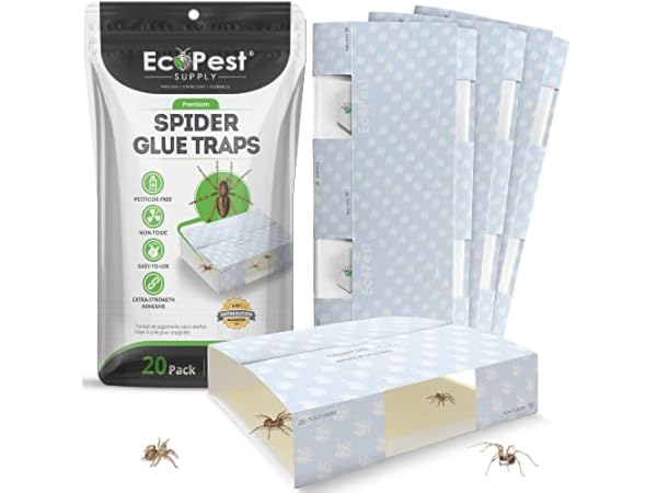 The 4 Best Large Pest Control Traps of 2023 (Reviews) - FindThisBest