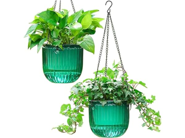 The 10 Best Lightweight Hanging Planters of 2025 (Reviews) - FindThisBest