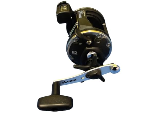 The 10 Best Line Counter Trolling Fishing Reels of 2025 (Reviews ...