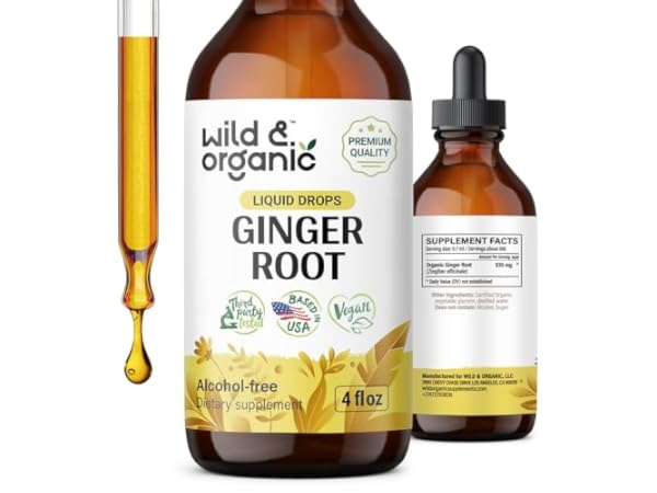 The 10 Best Liquid Ginger Supplements of 2026 (Reviews) - FindThisBest