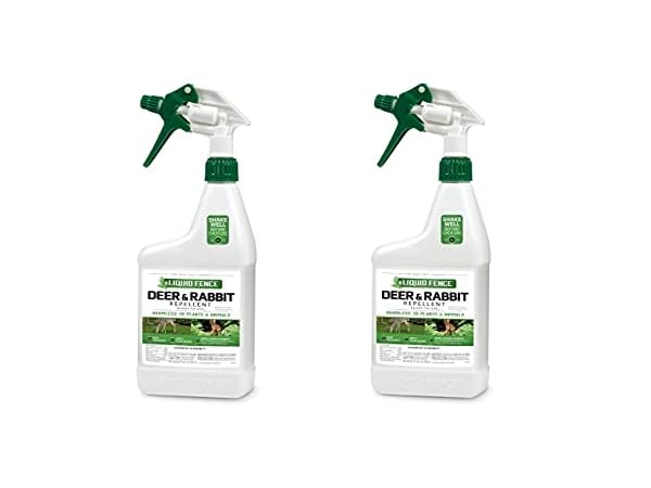 The 8 Best Liquid Pest Repellents of 2025 (Reviews) - FindThisBest