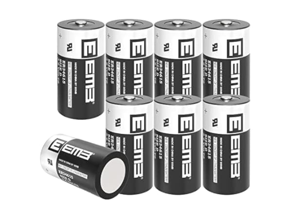 The 10 Best Lithium D Batteries of 2024 (Reviews) - FindThisBest