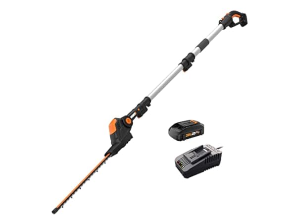 The 10 Best Long Reach Hedge Trimmers of 2025 (Reviews) - FindThisBest