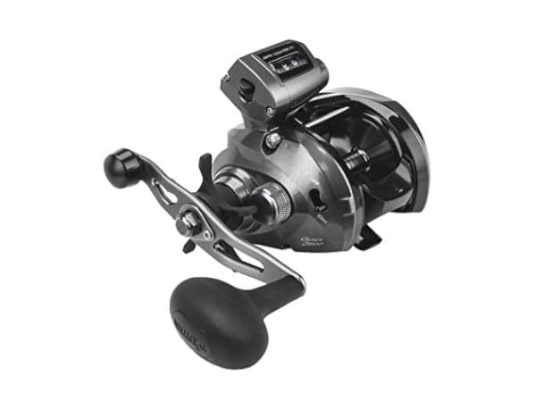 The 10 Best Low Profile Trolling Fishing Reels of 2025 (Reviews ...