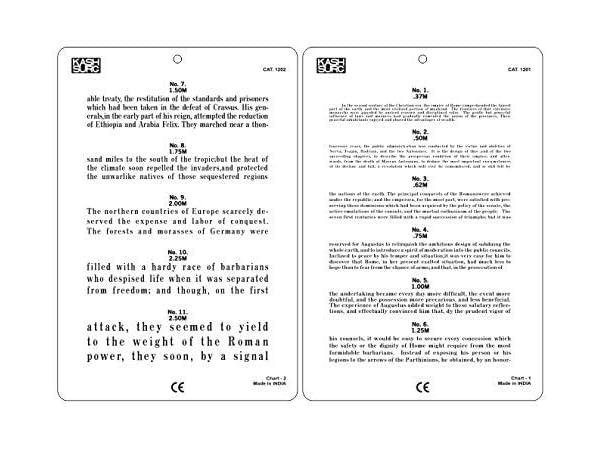 The 10 Best Low Vision Eye Charts of 2026 (Reviews) - FindThisBest