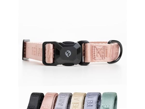 The 10 Best Magnetic Dog Collars of 2026 (Reviews) - FindThisBest