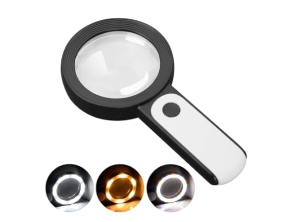 The 10 Best Magnifiers with Light of 2026 (Reviews) - FindThisBest