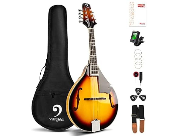 The 10 Best Mandolins of 2024 (Reviews) - FindThisBest
