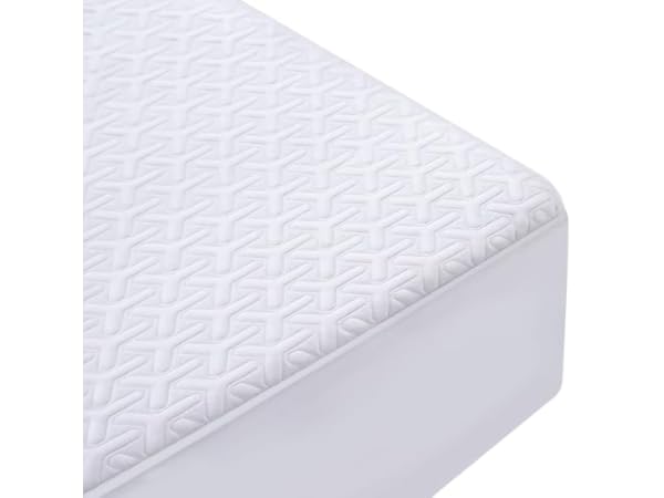 The 10 Best Memory Foam Mattress Protectors of 2025 (Reviews ...