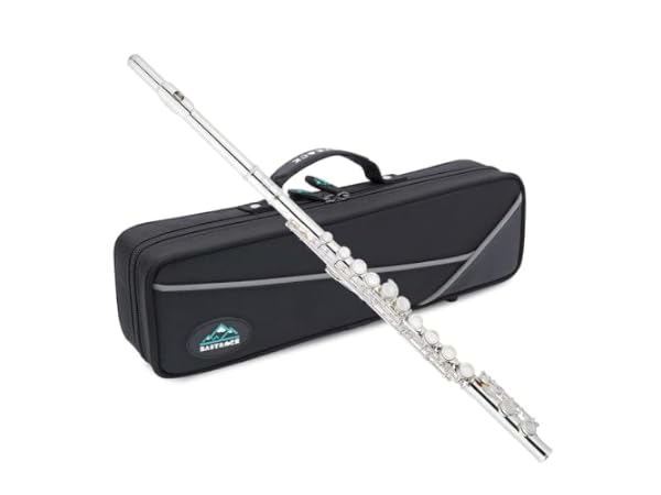 The 8 Best Metal Flutes of 2026 (Reviews) - FindThisBest