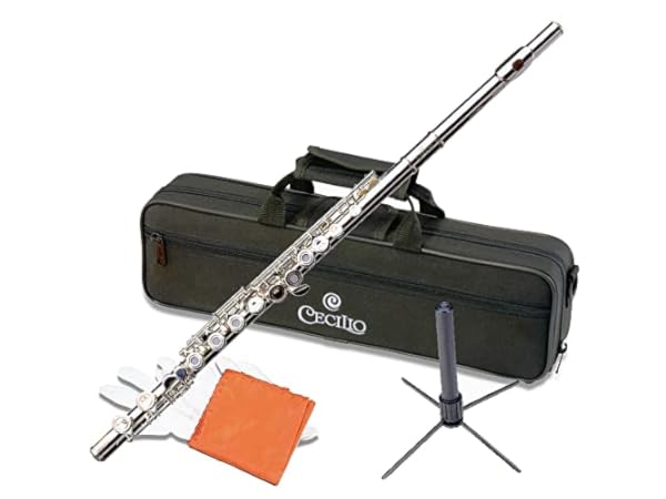The 10 Best Metal Flutes of 2024 (Reviews) - FindThisBest