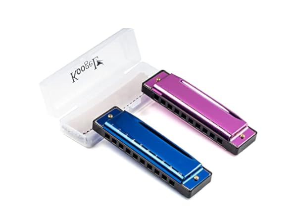 The 10 Best Metal Harmonicas of 2025 (Reviews) - FindThisBest