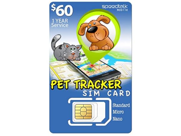 The 4 Best Micro GPS Trackers of 2024 (Reviews) - FindThisBest