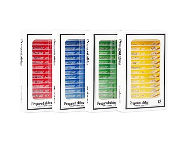 The 10 Best Microscope Sample Slides of 2024 (Reviews) - FindThisBest