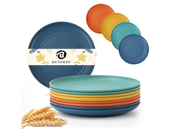 The 10 Best Microwave Safe Appetizer Plates of 2026 (Reviews ...