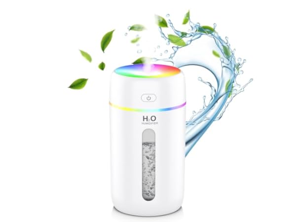 The 10 Best Mini Humidifiers of 2025 (Reviews) - FindThisBest