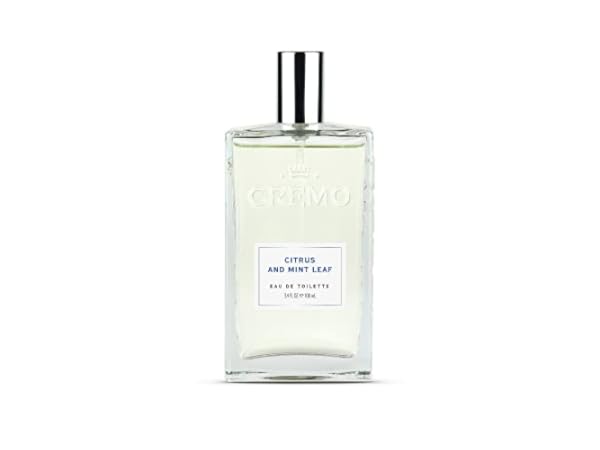 The 10 Best Mint Fragrances for Men of 2024 (Reviews) - FindThisBest