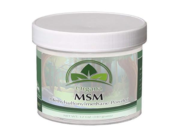 The 4 Best MSM Supplements for Hair Growth of 2025 (Reviews) - FindThisBest