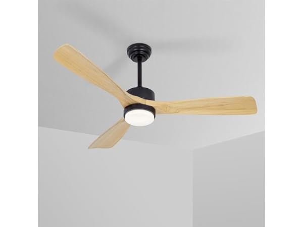 The 10 Best Natural Ceiling Fans of 2024 (Reviews) - FindThisBest