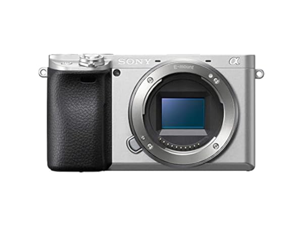 The 10 Best NFC Mirrorless Cameras of 2025 (Reviews) - FindThisBest