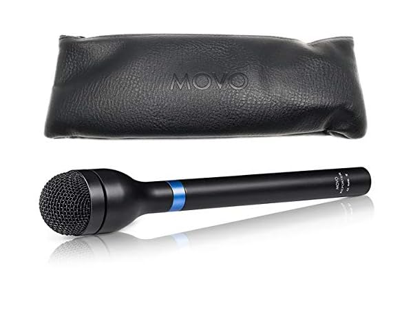 The 3 Best Omnidirectional Wireless Microphones of 2024 (Reviews ...