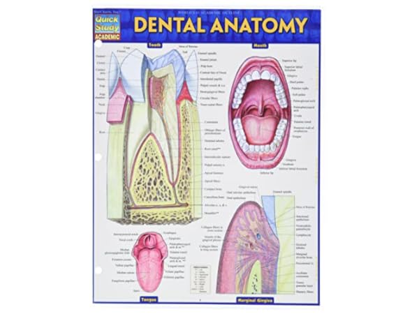 The 10 Best Oral Surgery Books of 2026 (Reviews) - FindThisBest