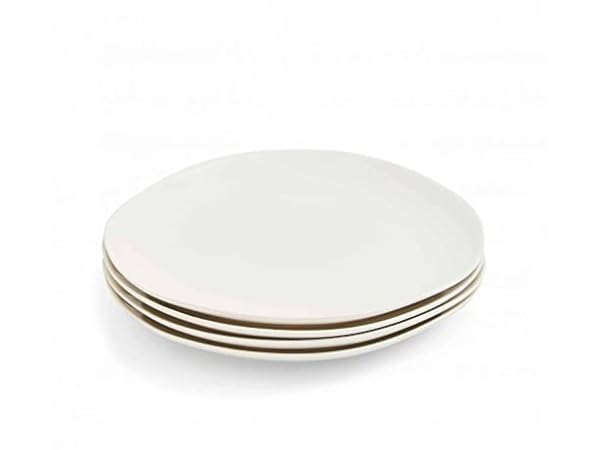 The 10 Best Organic Dinner Plates of 2024 (Reviews) - FindThisBest