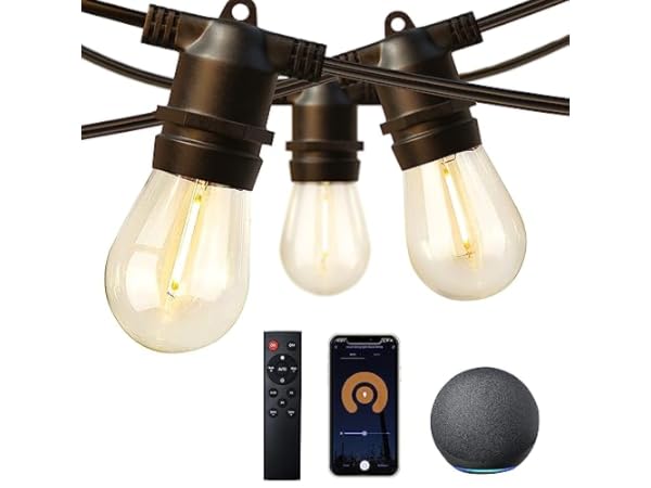The 10 Best Outdoor String Lights with Remote Control of 2024 (Reviews ...