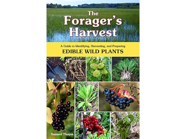 The 10 Best Outdoors & Nature Reference Books of 2025 (Reviews ...