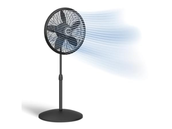 The 10 Best Pedestal Fans for Cooling of 2026 (Reviews) - FindThisBest