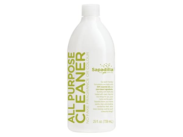 The 10 Best Peppermint All-Purpose Cleaners of 2024 (Reviews ...