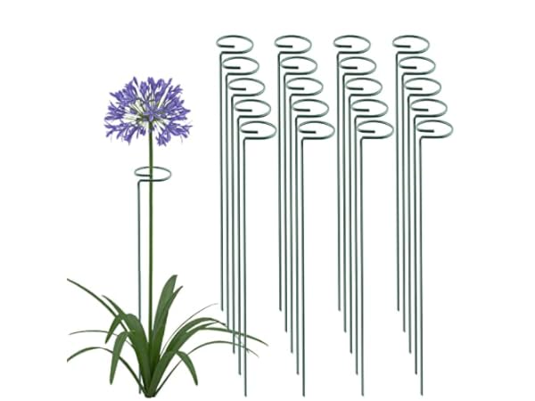 The 10 Best Plant Support Garden Stakes for Rose of 2025 (Reviews ...