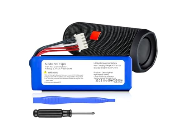 The 10 Best Polymer MP3 Player Batteries of 2025 (Reviews) - FindThisBest