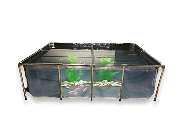 The 10 Best Pond Fish Tanks of 2025 (Reviews) - FindThisBest