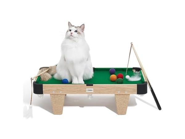 The 10 Best Pool Tables for Cats of 2024 (Reviews) - FindThisBest