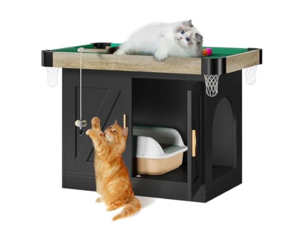 The 10 Best Pool Tables for Cats of 2025 (Reviews) - FindThisBest